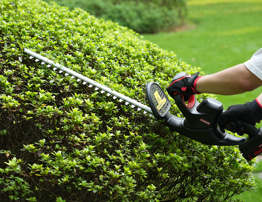 MZK magic zaker : Keep life fantastic！